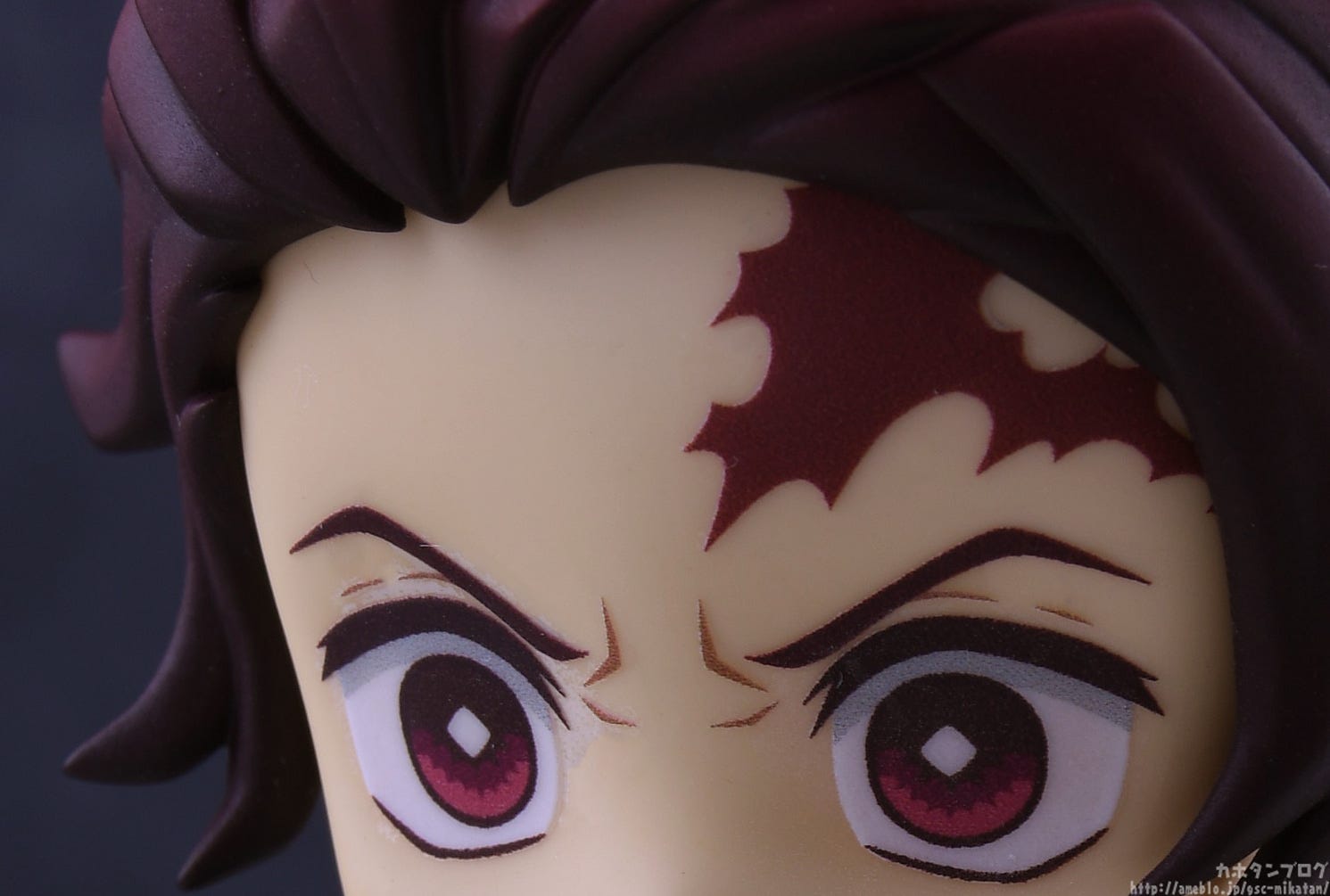 Kahotan's Blog | GOOD SMILE COMPANY Figure Reviews | Nendoroid Tanjiro ...