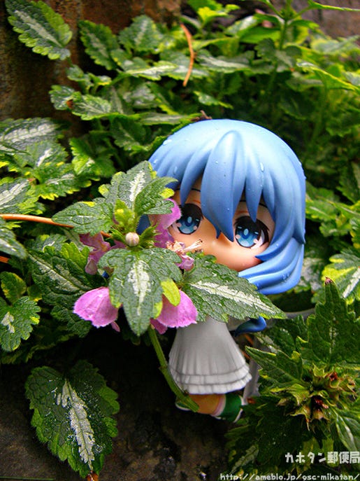 Kahotan's Blog | GOOD SMILE COMPANY Figure Reviews | Kahotan Post ...